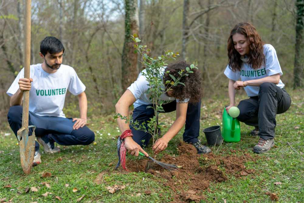 Why Volunteer Work Matters More Than You Think - Dreams of a Life