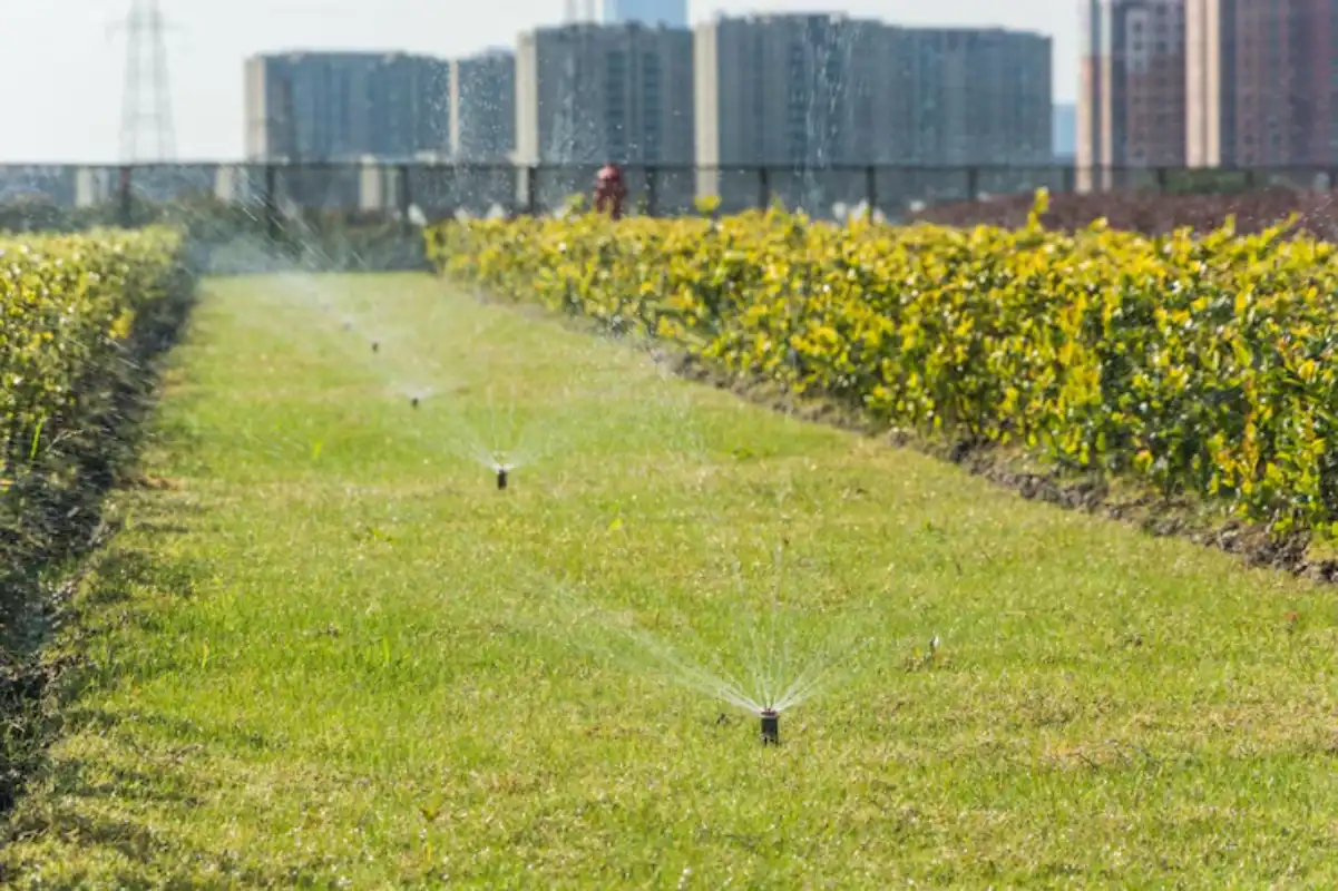 Blending Precision and Technique in Efficient Lawn Irrigation - Dreams ...